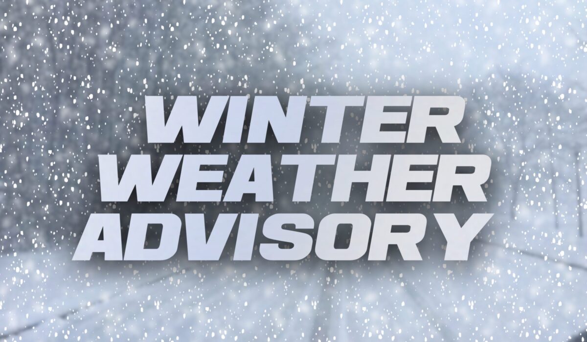 1News – Breaking News, World Updates & Live Stories