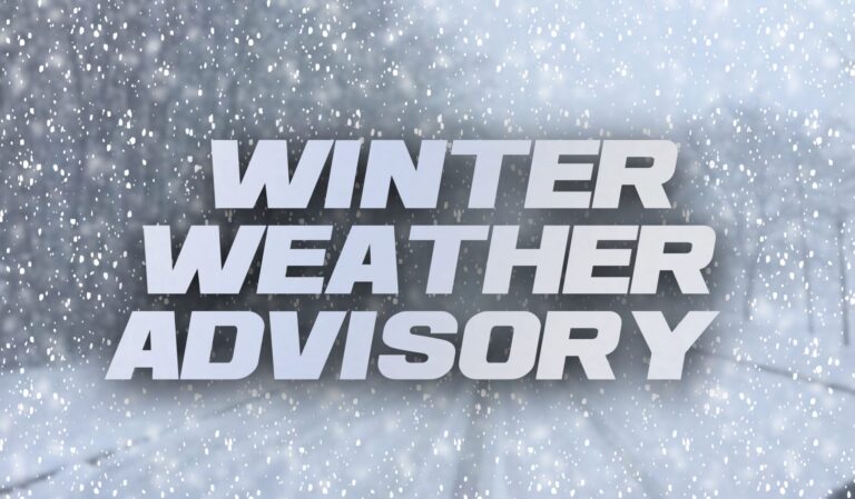 1News – Breaking News, World Updates & Live Stories